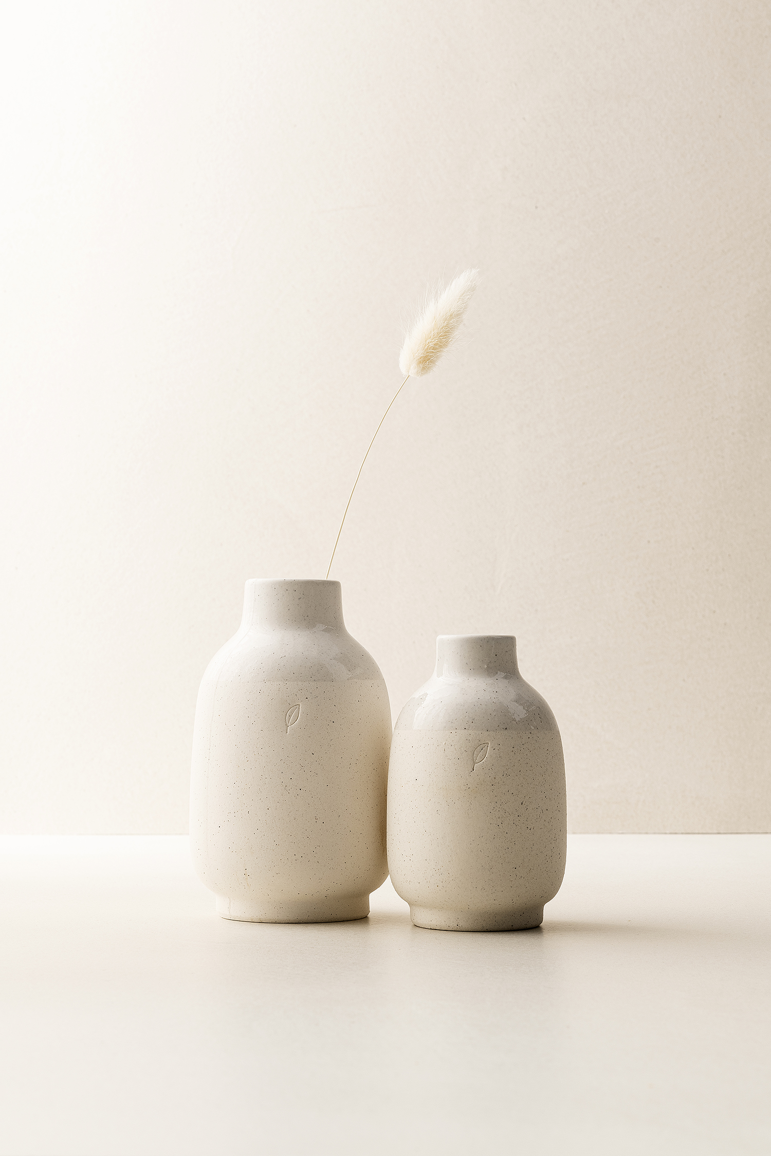 Mortex – walls and decoration – Beal International