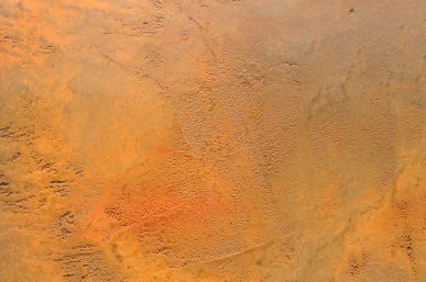 Mortex – walls and decoration – Beal International